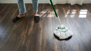 Os 7 melhores mops para 2025