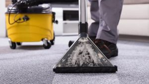 As 4 Melhores Extratoras de 2025